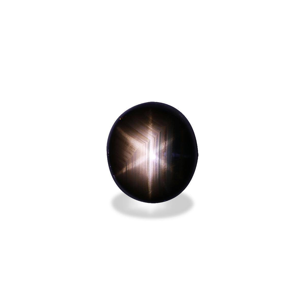 Black Star Sapphire 27.77ct - 17x15mm (BL0034)