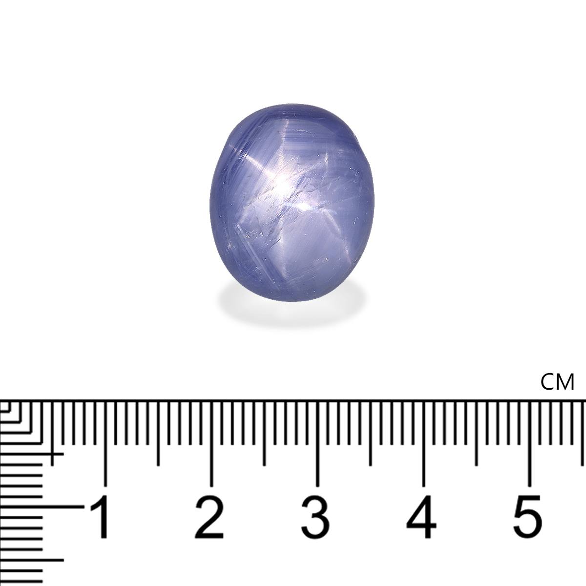 Blue Star Sapphire 41.85ct (BR0013)