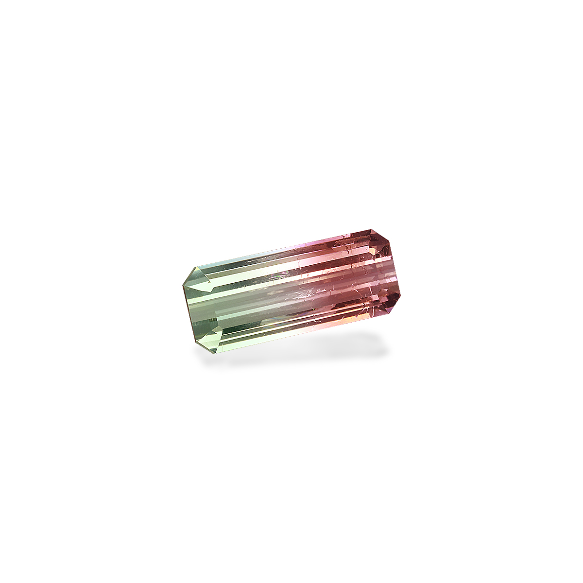 Watermelon Bi Colour Tourmaline 7.46ct (BT0147)