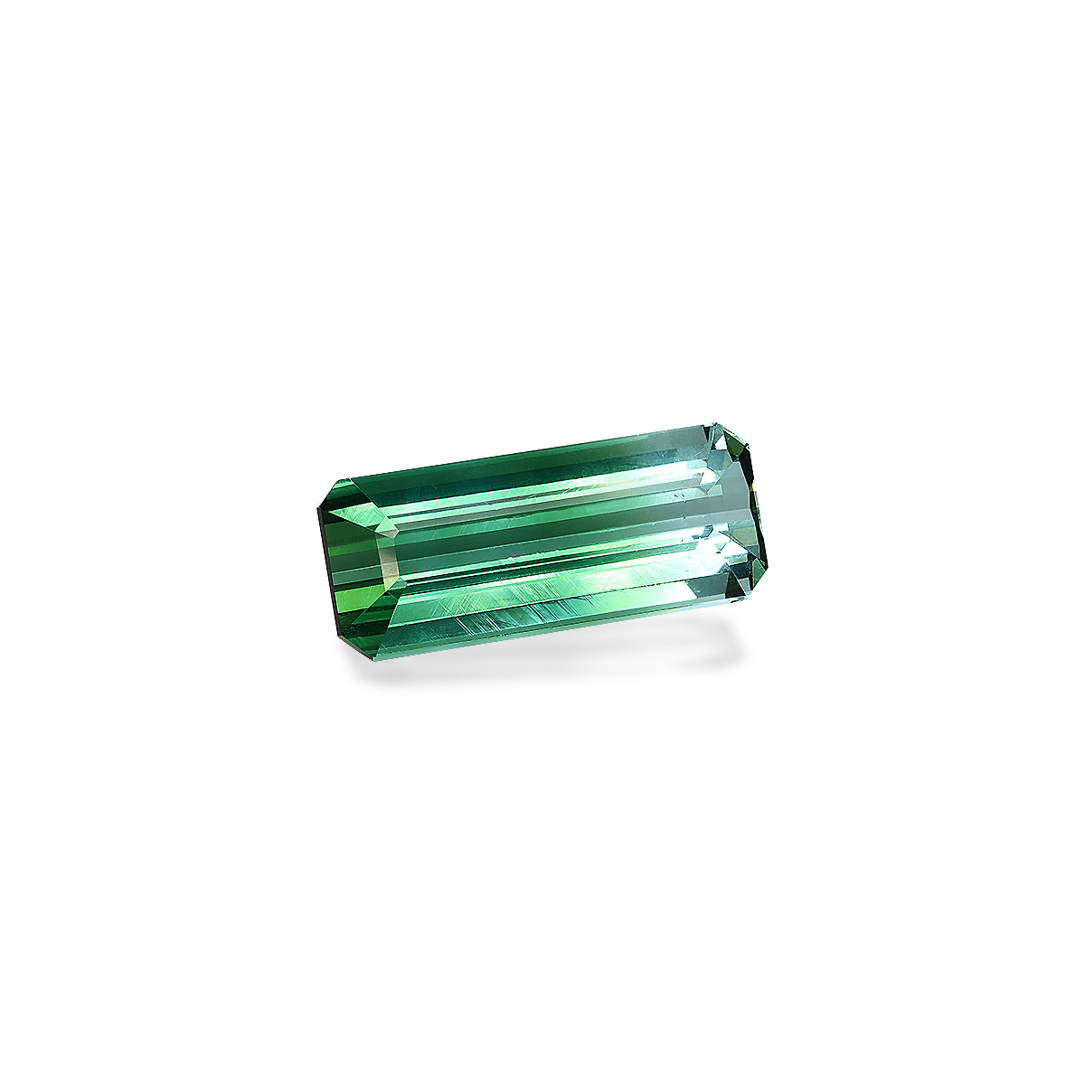 Bi Colour Tourmaline 27.96ct (BT0203)