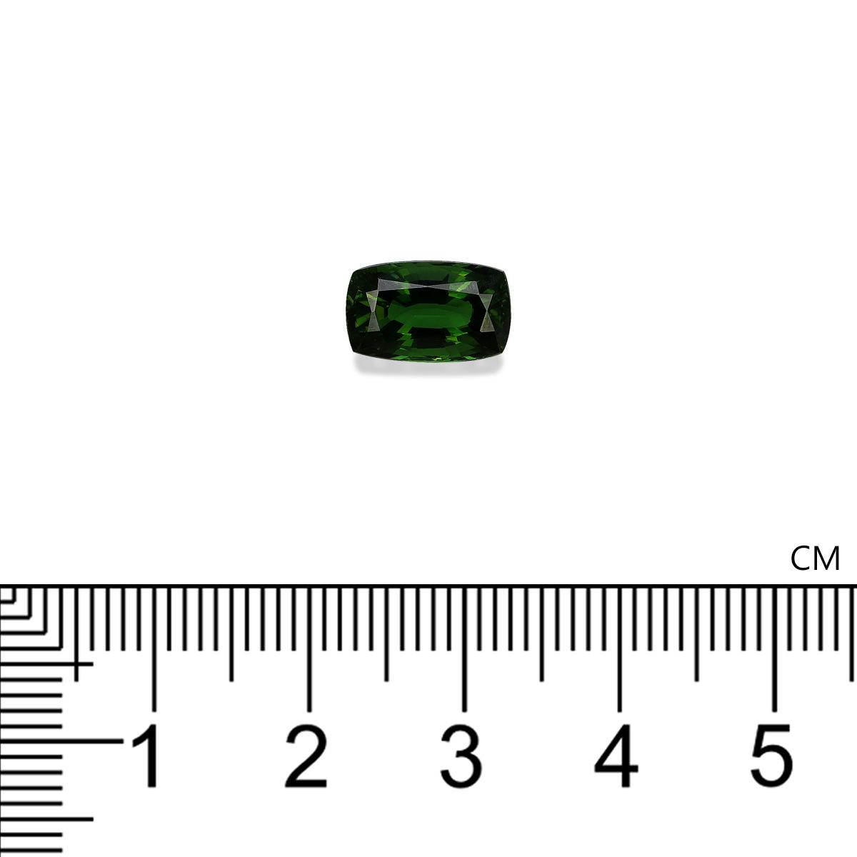 Chrome Tourmaline 2.8ct (CT0190)