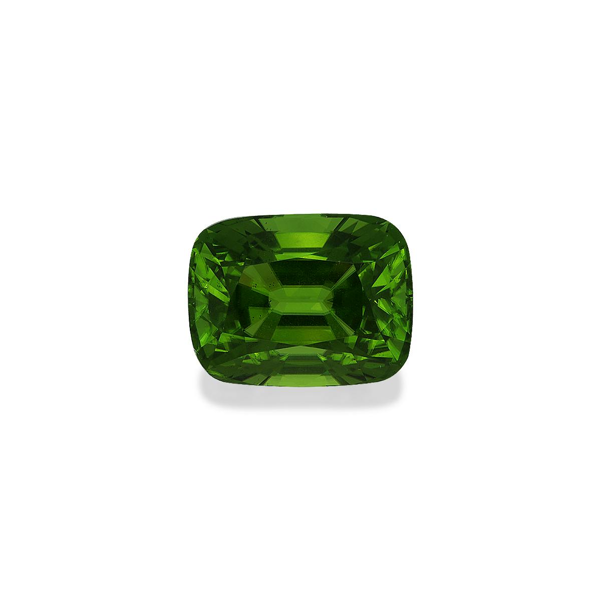 Vivid Green Peridot 30.39ct (PD0248)