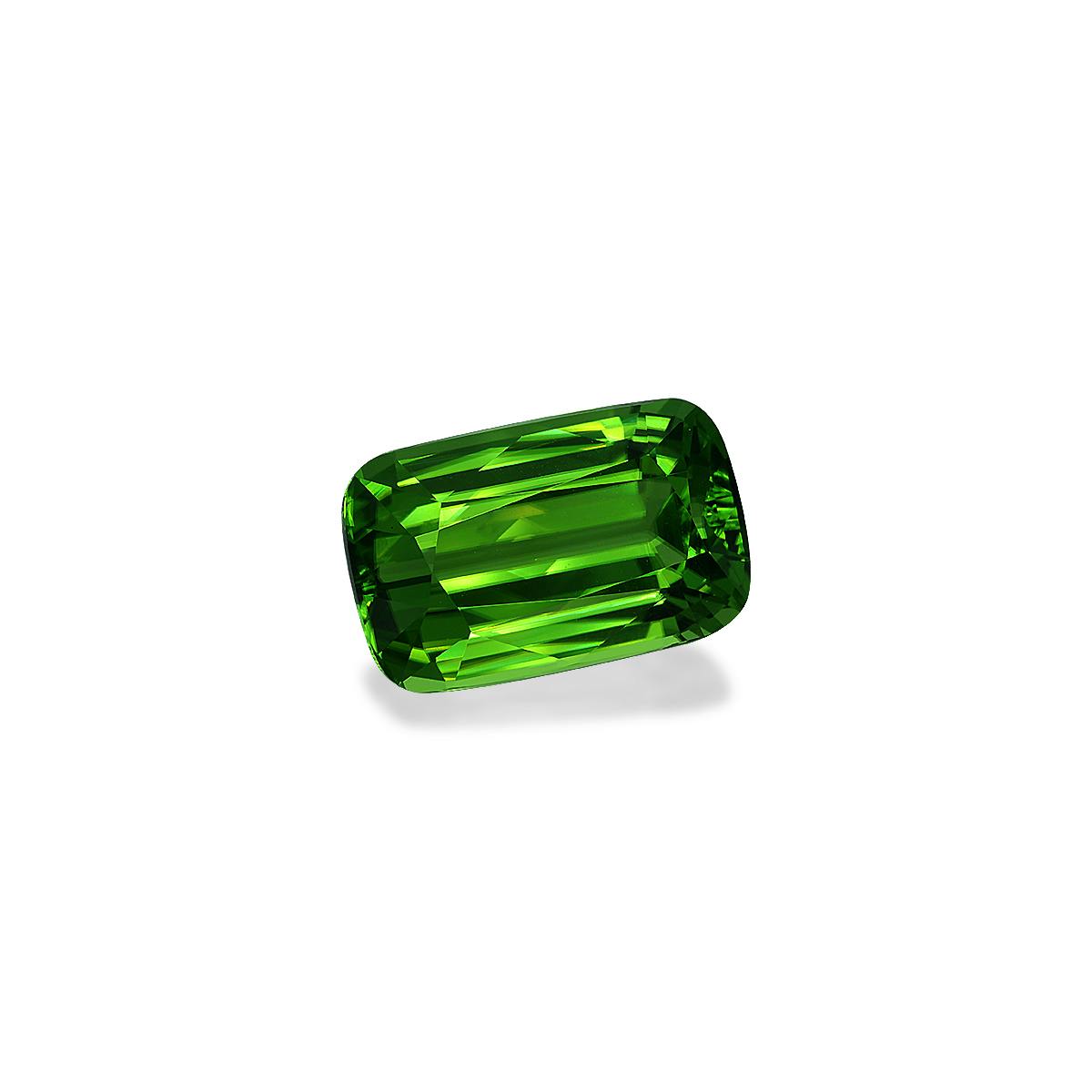 Vivid Green Peridot 21.80ct (PD0264)