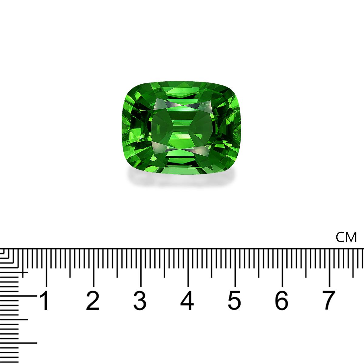 Vivid Green Peridot 50.15ct (PD0297)