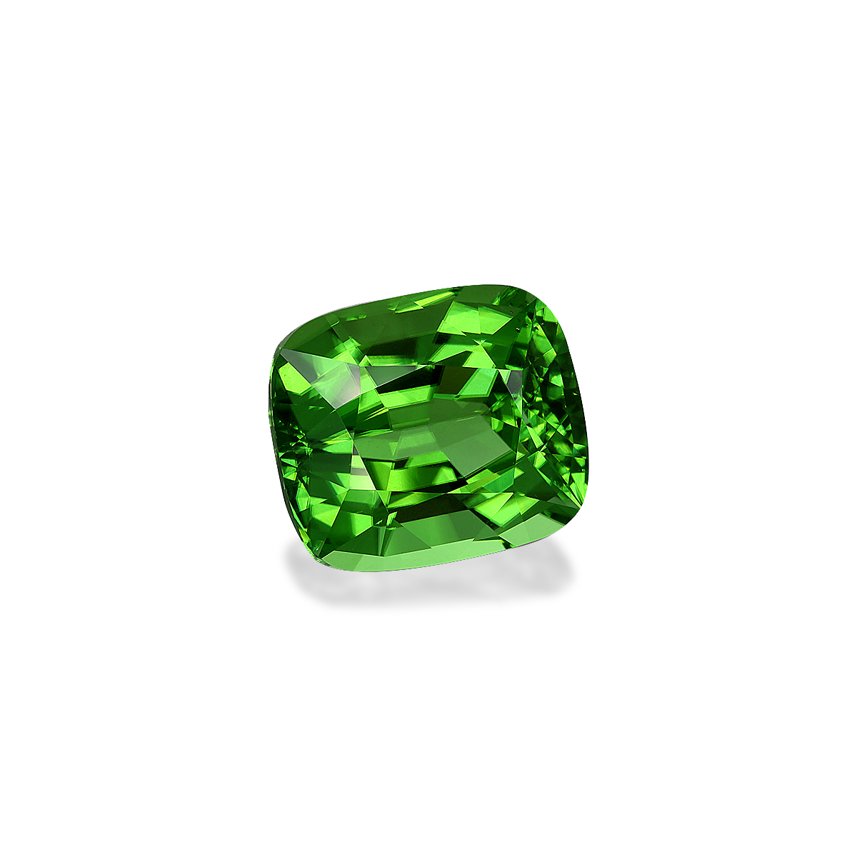 Vivid Green Peridot 26.50ct (PD0302)