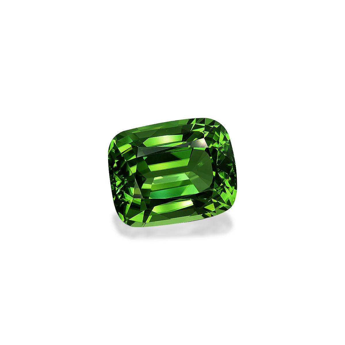 Vivid Green Peridot 59.64ct (PD0362)