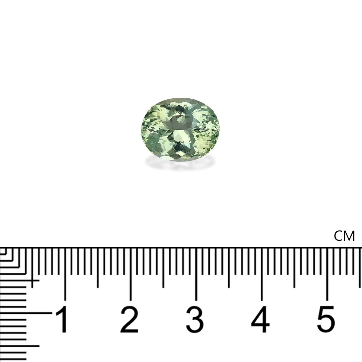 Green Tourmaline 4.49ct - 12x10mm (PG0162)