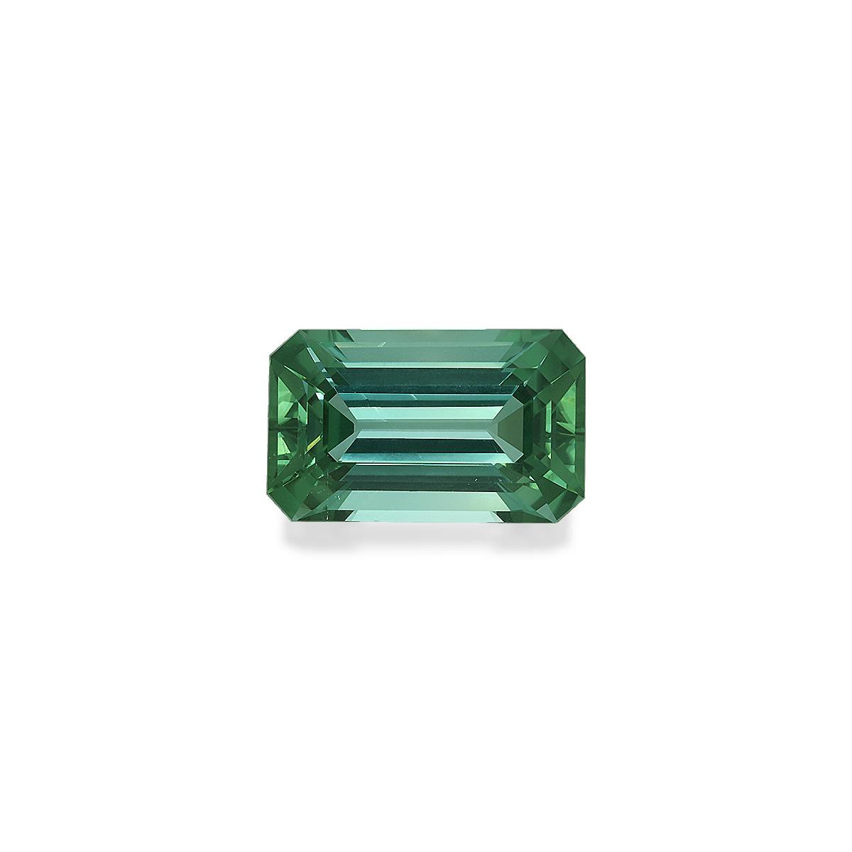 Green Tourmaline 12.57ct (TG0446)