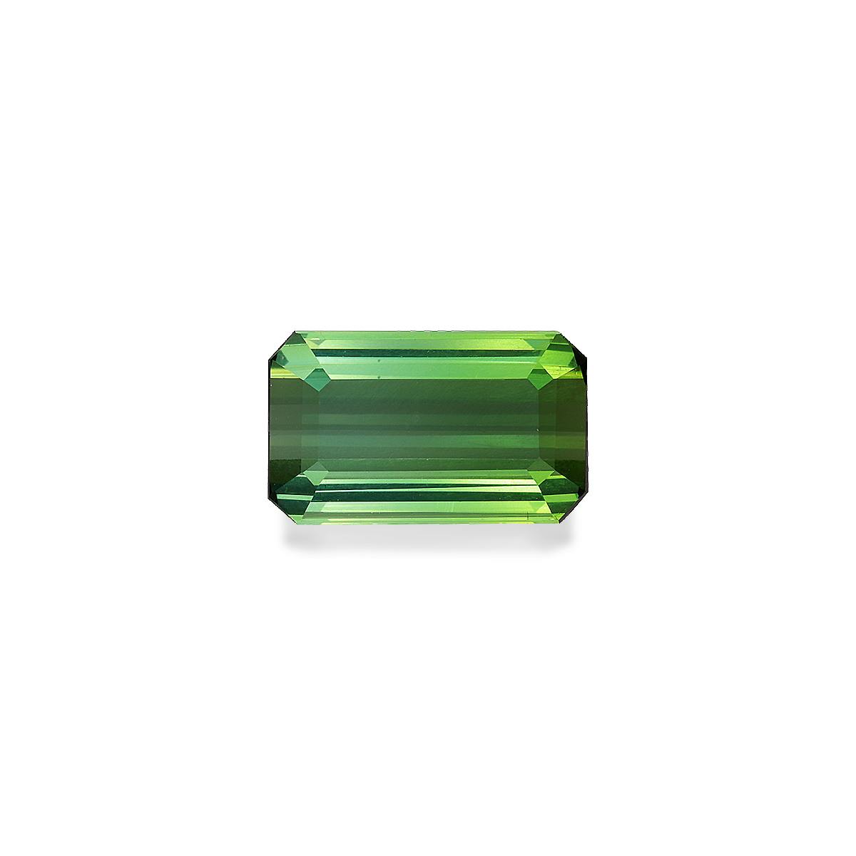 Green Tourmaline 5.91ct (TG0556)