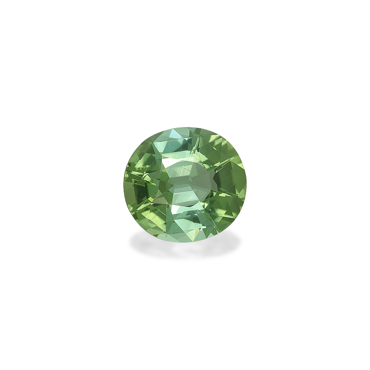 Green Tourmaline 8.92ct (TG0633)
