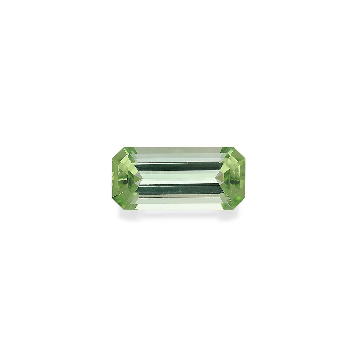 Green Tourmaline 13.66ct (TG1247)