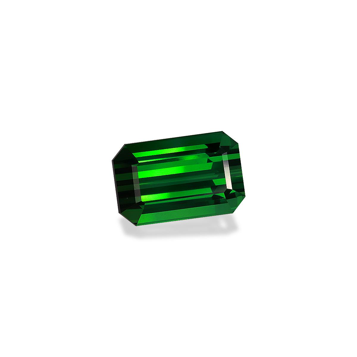 Vivid Green Tourmaline 35.24ct (TG1339)