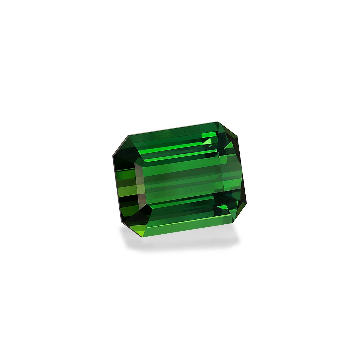 Vivid Green Tourmaline 21.35ct (TG1341)