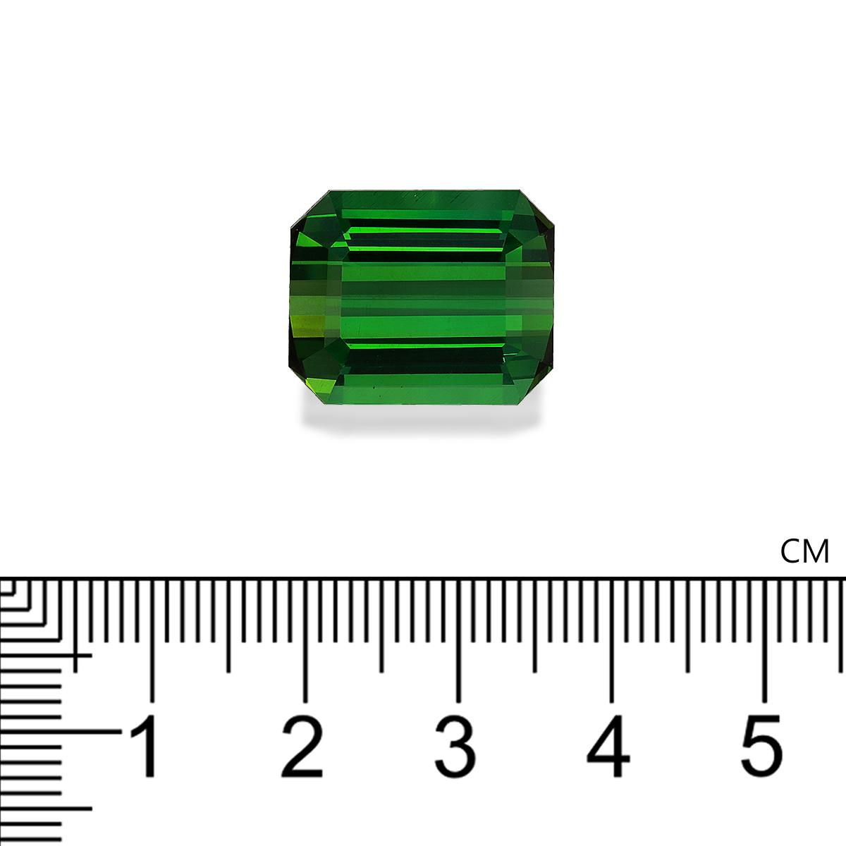 Vivid Green Tourmaline 21.35ct (TG1341)