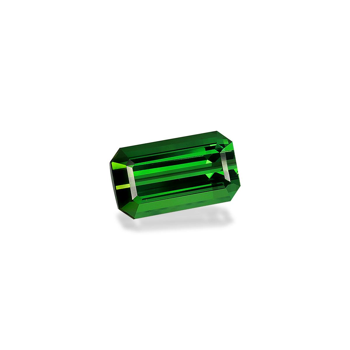 Vivid Green Tourmaline 14.57ct (TG1345)