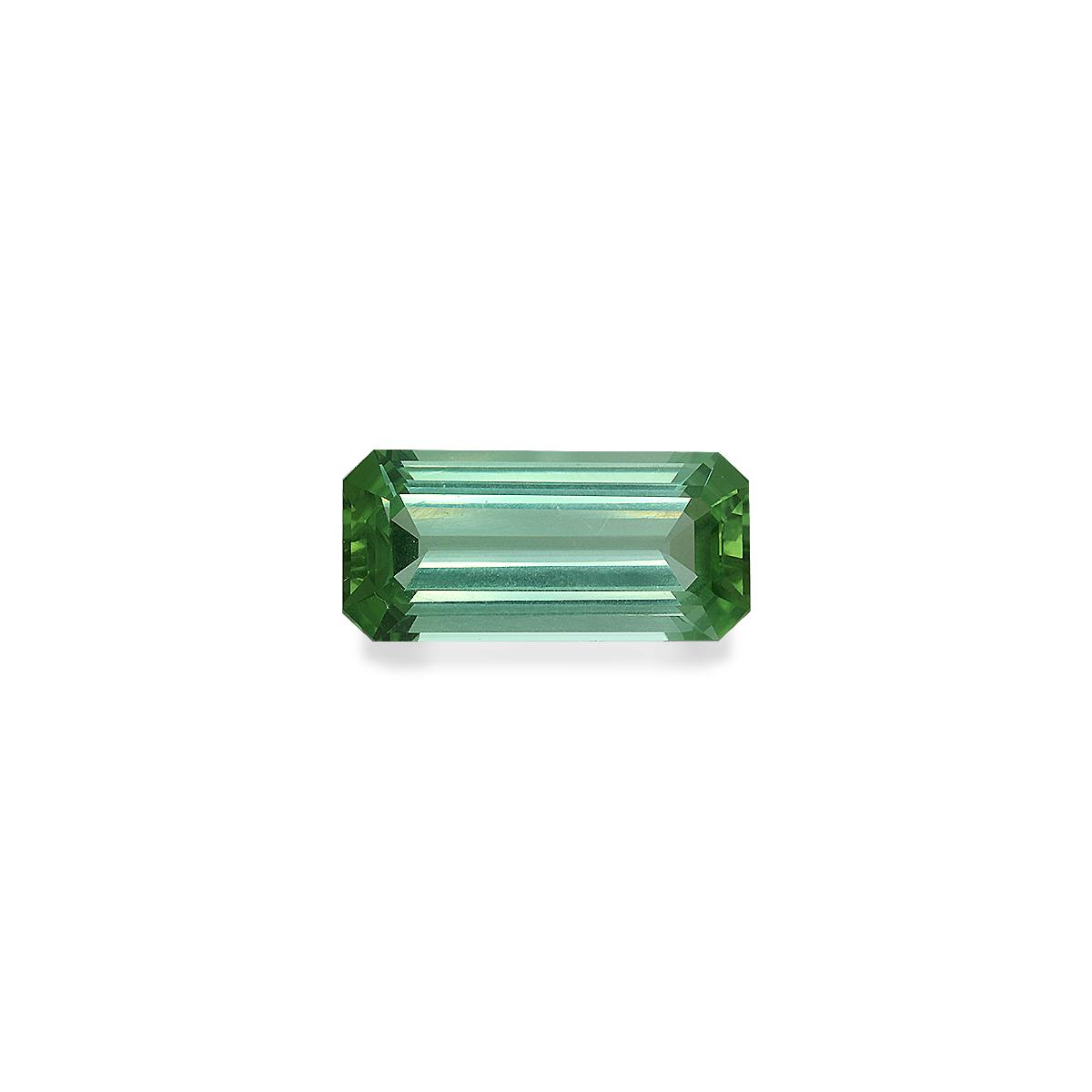 Green Tourmaline 13.62ct (TG1480)