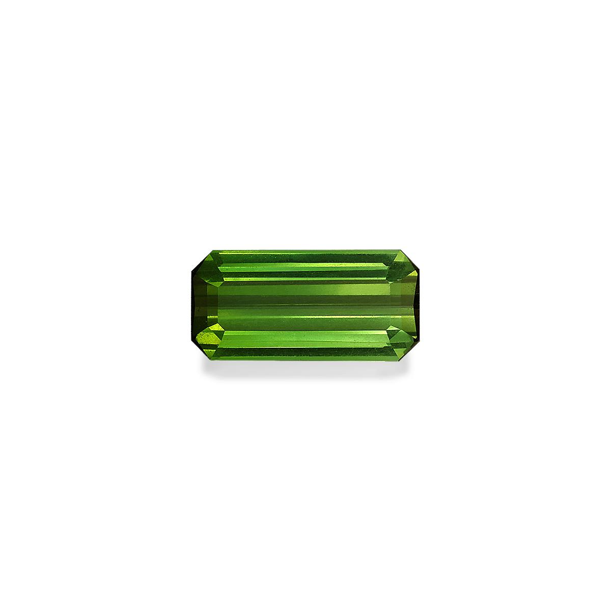 Green Tourmaline 2.62ct (TG1514)