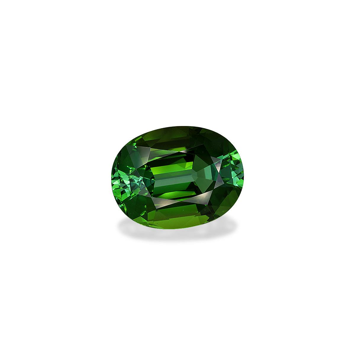 Green Tourmaline 16.76ct (TG1565)