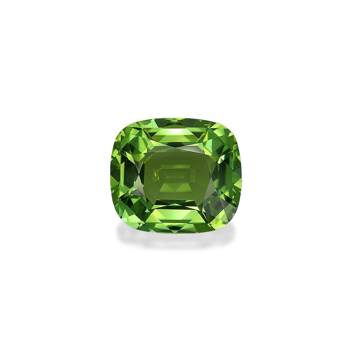Green Tourmaline 27.58ct - 20x18mm (TG1603)