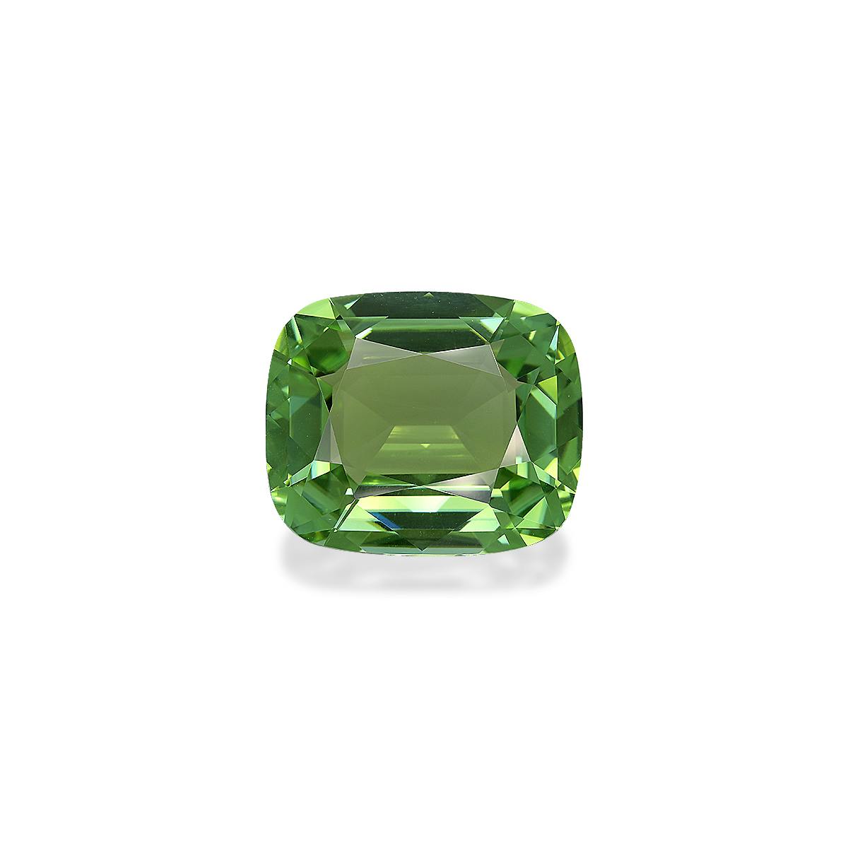 Green Tourmaline 19.33ct (TG1606)