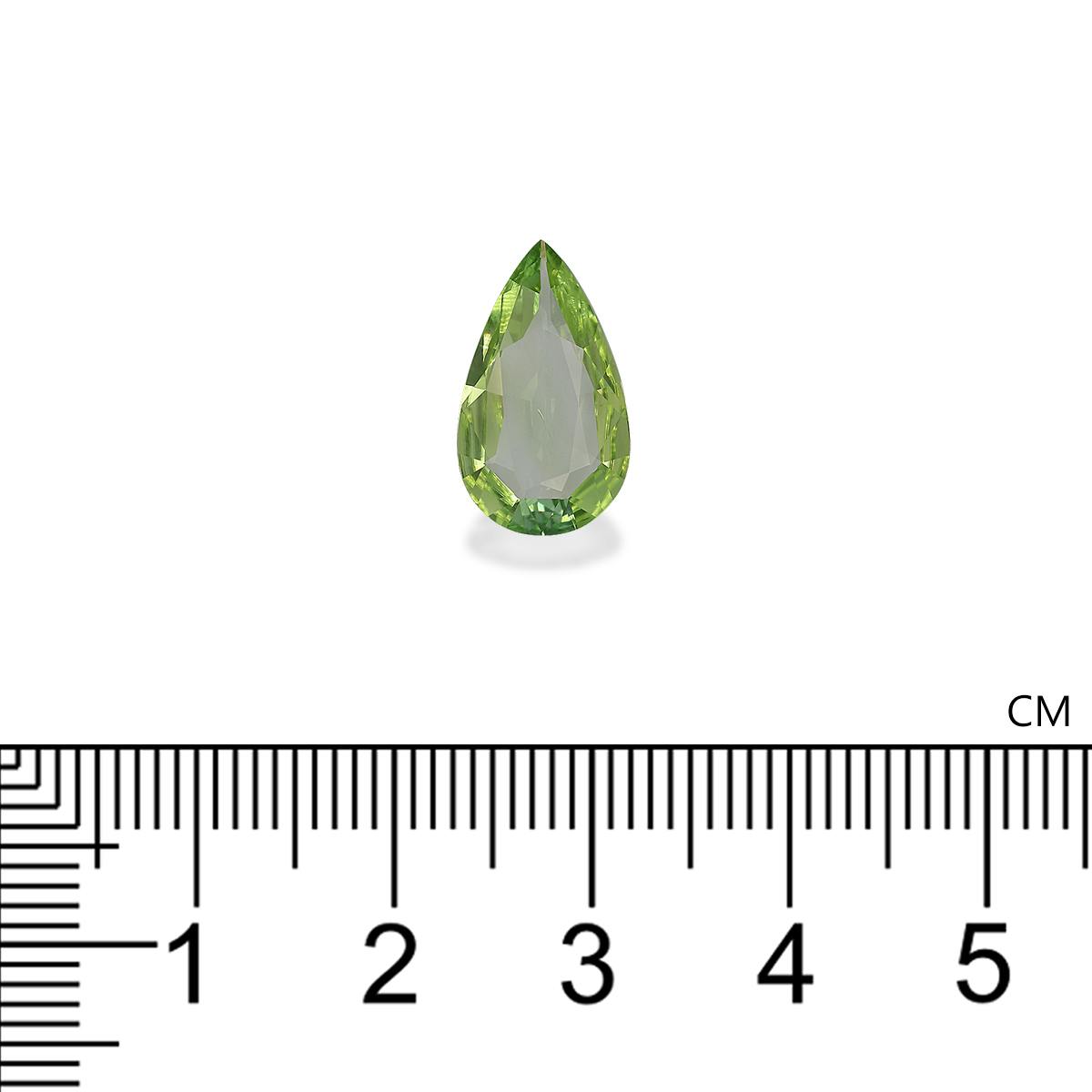 Green Tourmaline 3.31ct (TG1666)