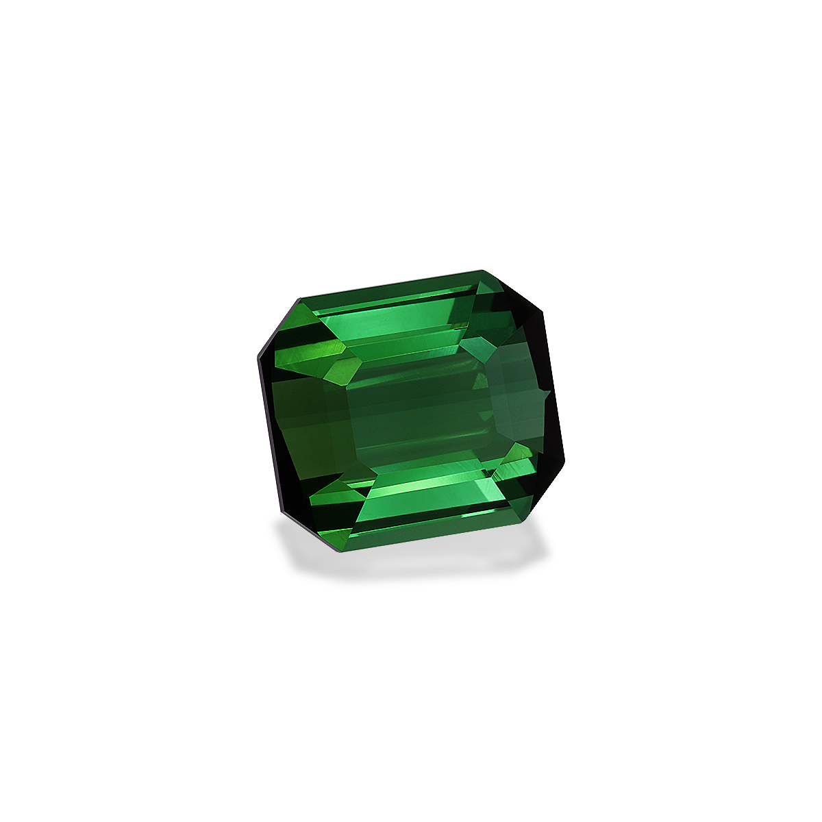 Green Tourmaline 21.11ct - 17x15mm (TG1667)