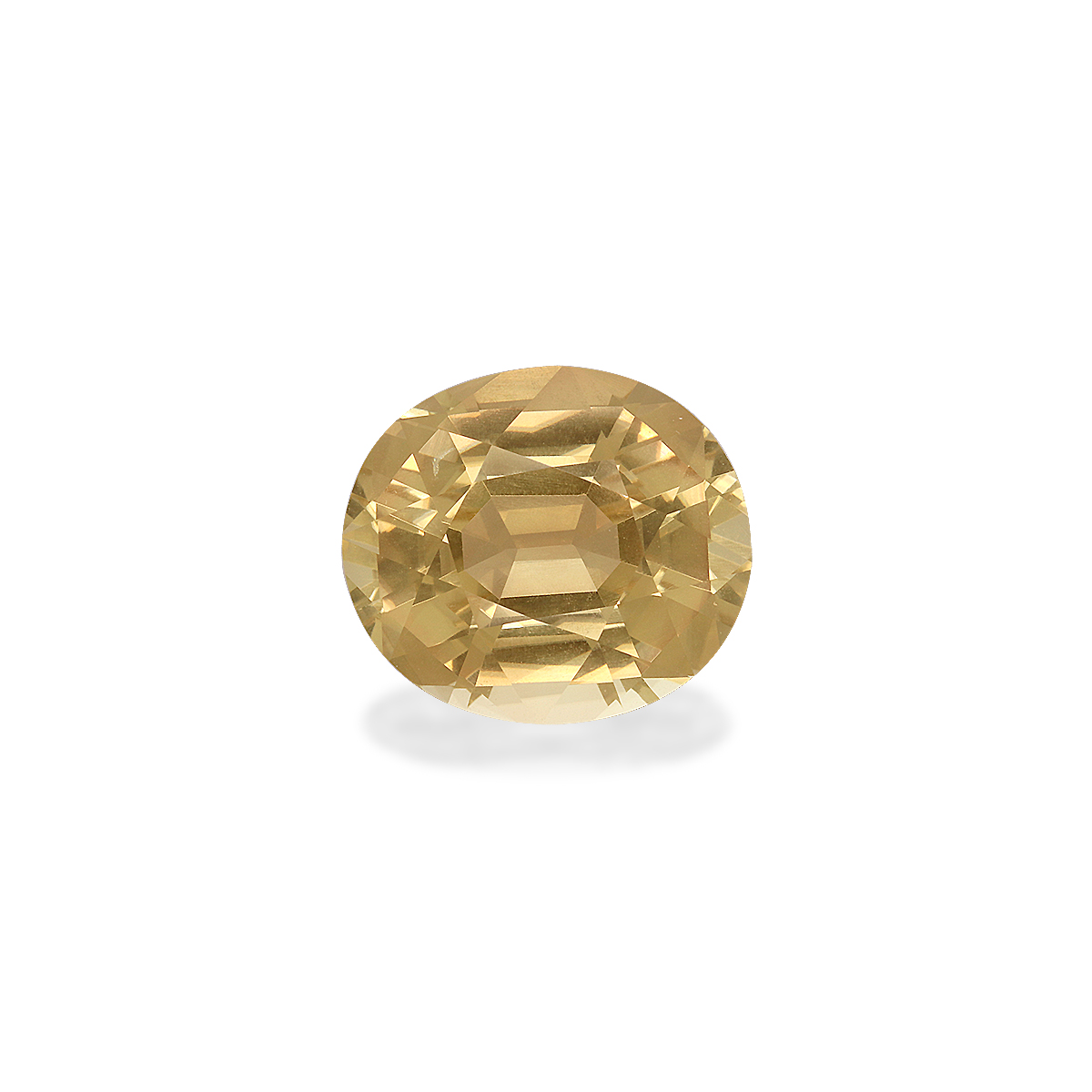 Yellow Tourmaline 8.83ct - 14x12mm (YT0053)