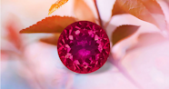 Imperial Topaz All You Need To Know Of Colorful Brilliance Imperial Topaz All You Need To Know Of Colorful Brilliance